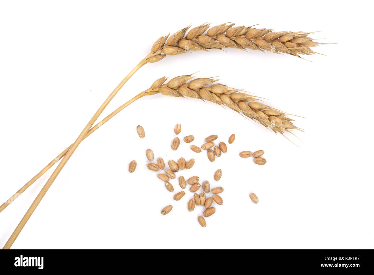 grain and ears of wheat isolated on white background. Top view Stock ...