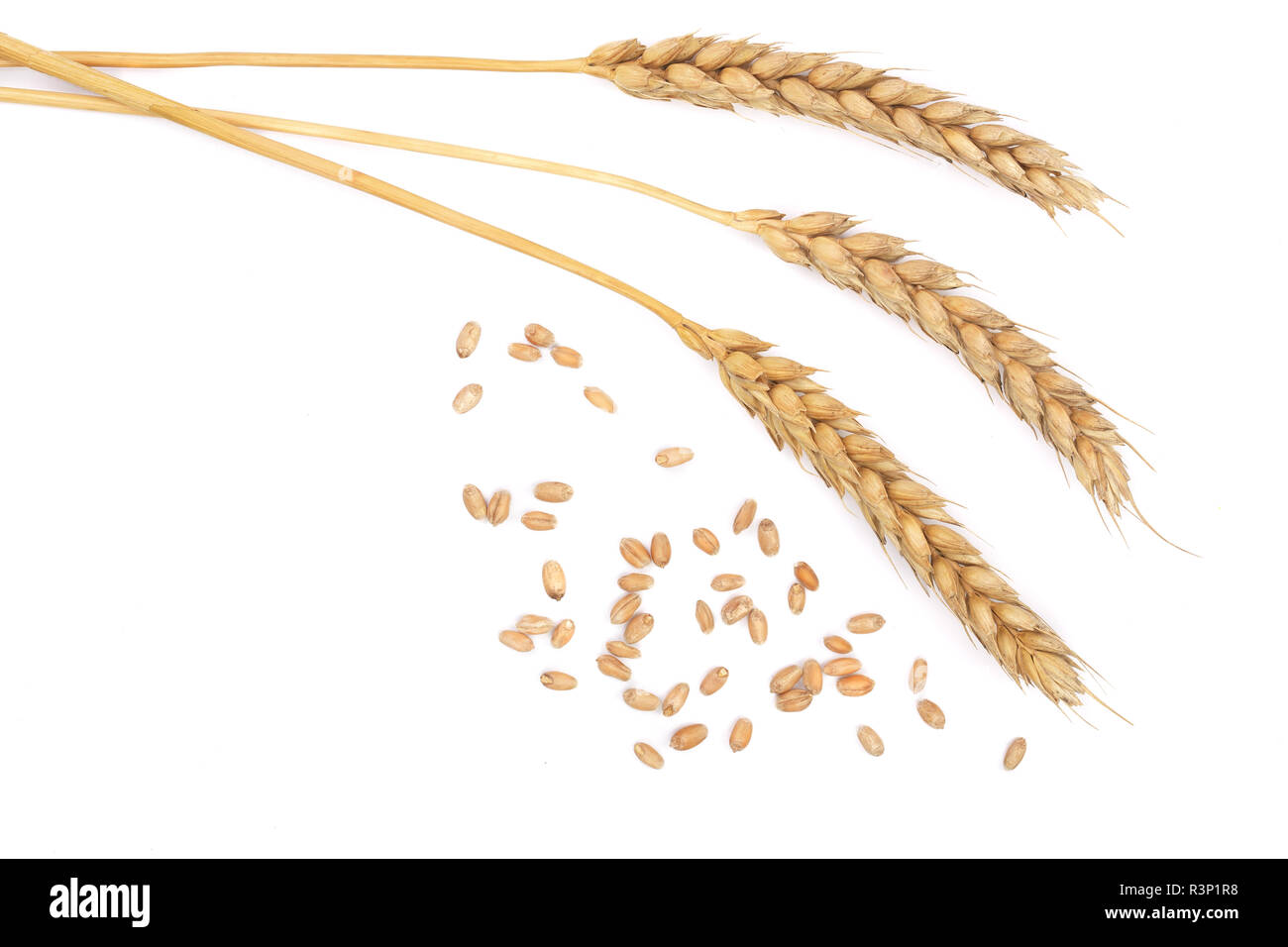 grain and ears of wheat isolated on white background. Top view Stock ...