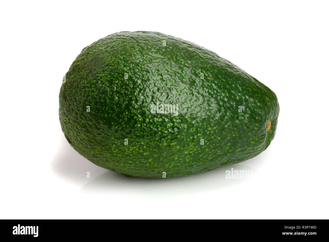 Avocado single fruit on white hi-res stock photography and images - Alamy