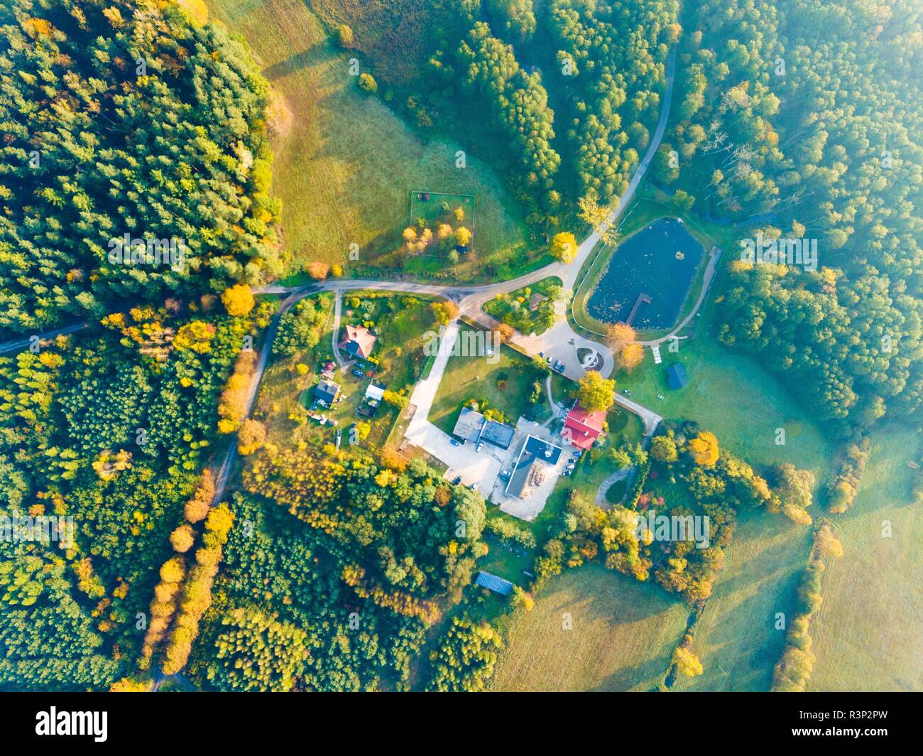 Forest top down hi-res stock photography and images - Alamy