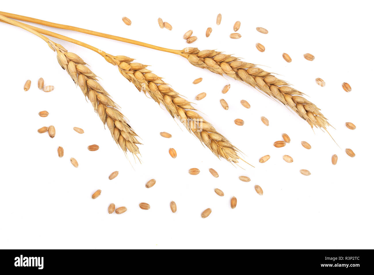 grain and ears of wheat isolated on white background. Top view Stock ...