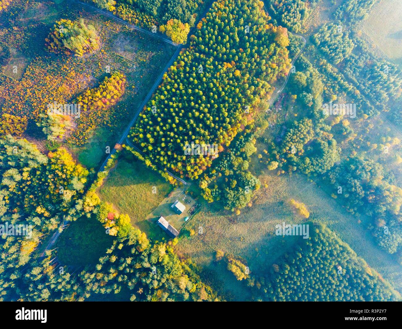 Forest top down hi-res stock photography and images - Alamy