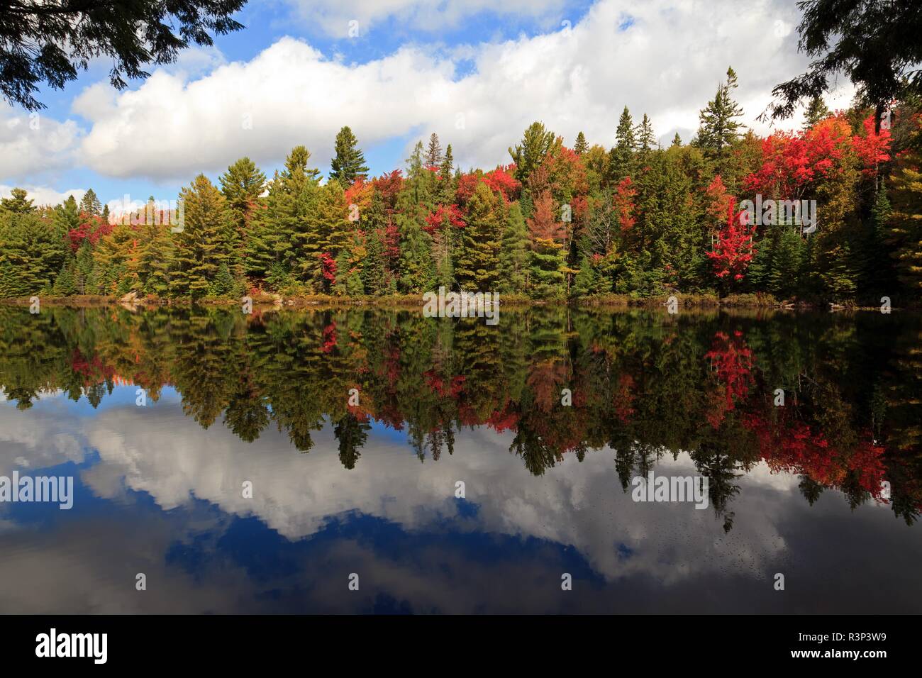 Foliage hot spot hi-res stock photography and images - Alamy