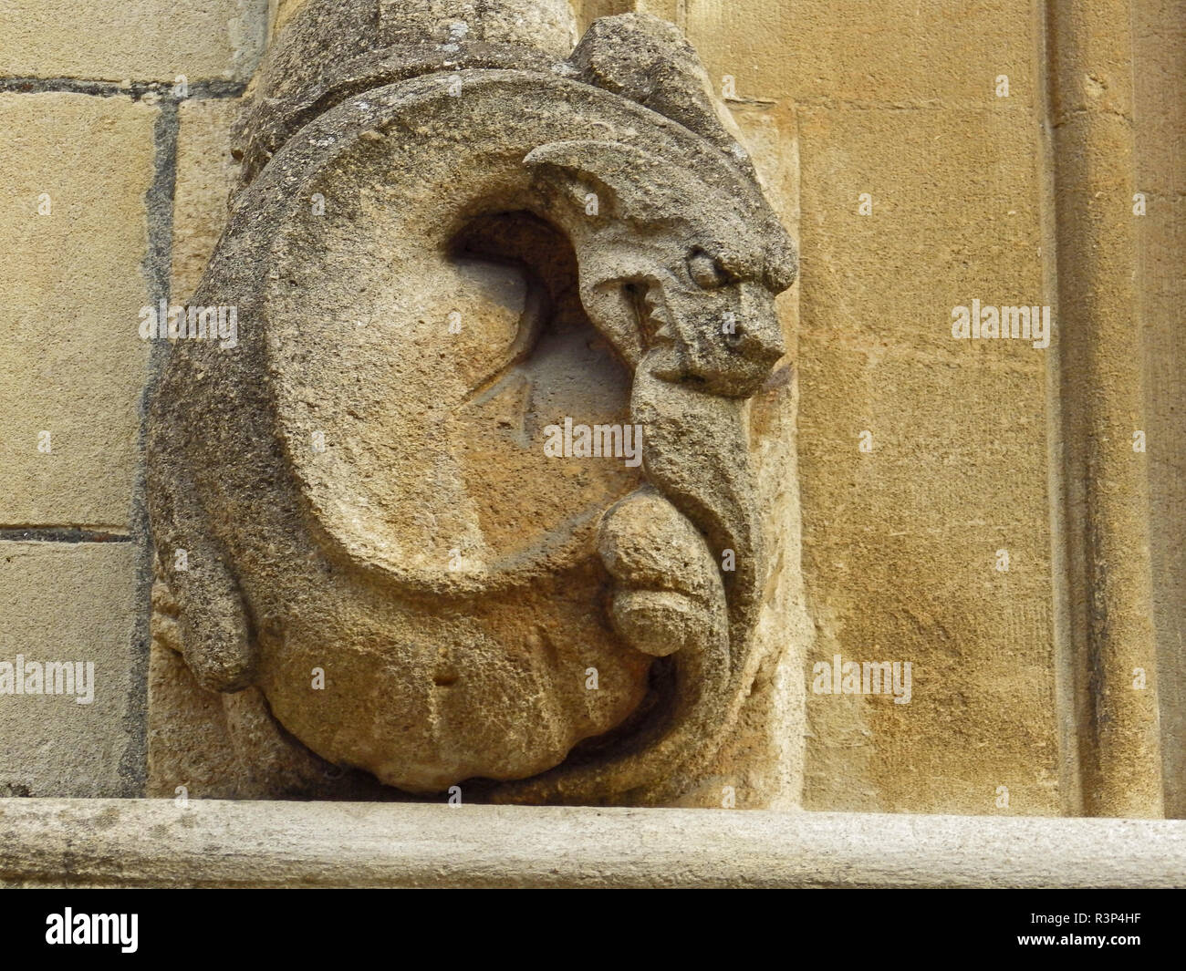 Gargoyles brasenose college oxford hi-res stock photography and images ...
