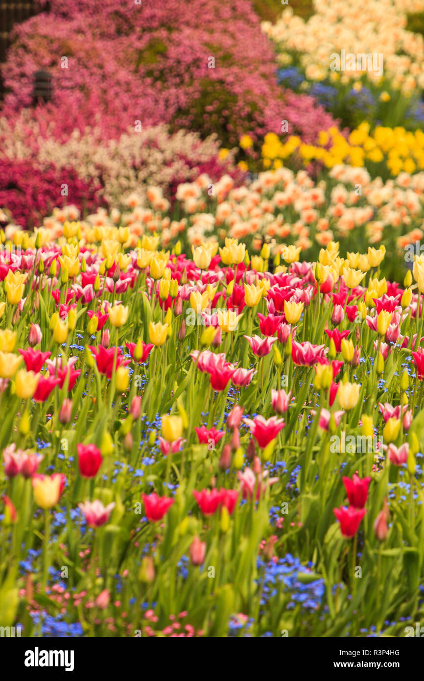 Victoria british columbia flowers hi-res stock photography and images ...