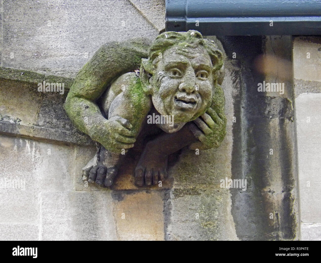 Gargoyles brasenose college oxford hi-res stock photography and images ...