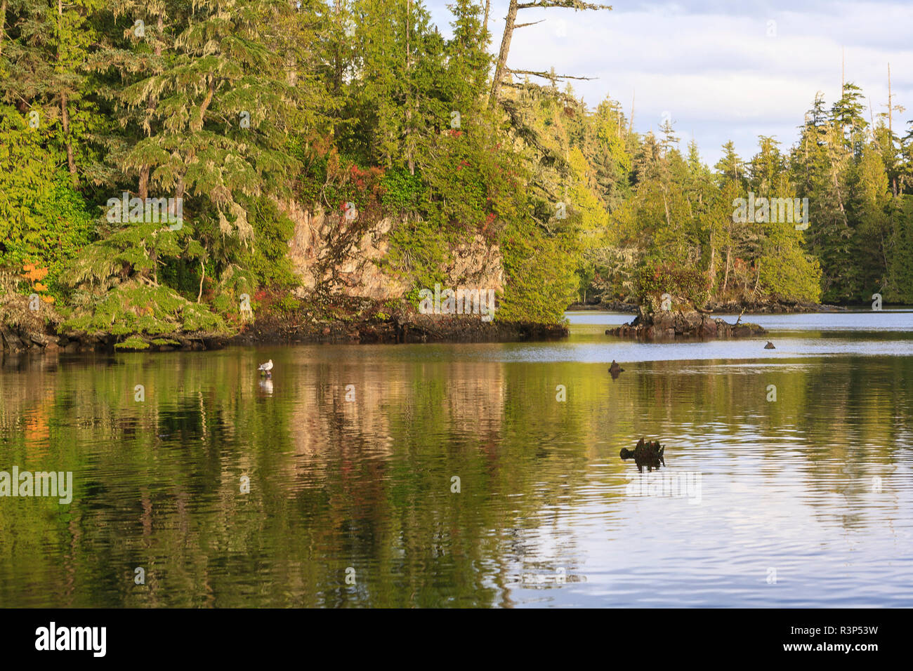 Water reflections, Browning Passage, Northern Vancouver Island, British ...