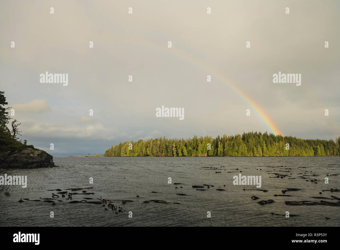 Browning Passage, Northern Vancouver Island, British Columbia, Canada ...