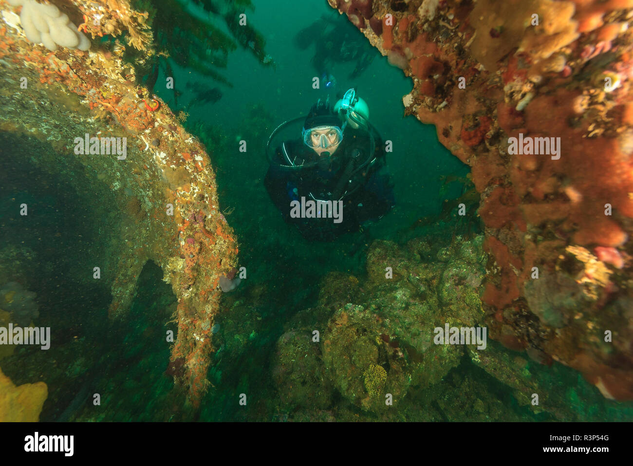 Ss columbia hi-res stock photography and images - Alamy