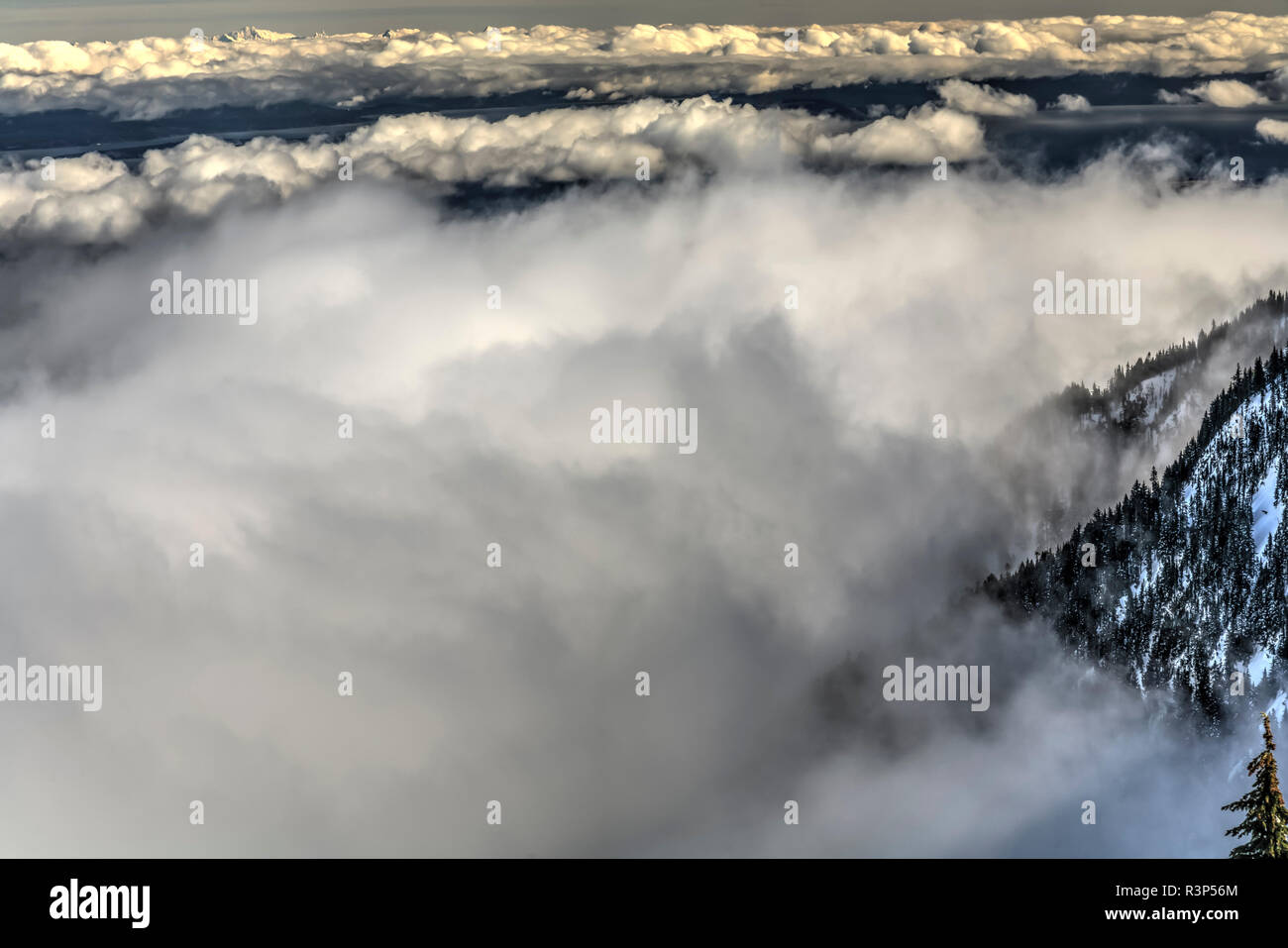 Mt. Washington Ski Resort bordering Strathcona Provincial Park (BC's ...