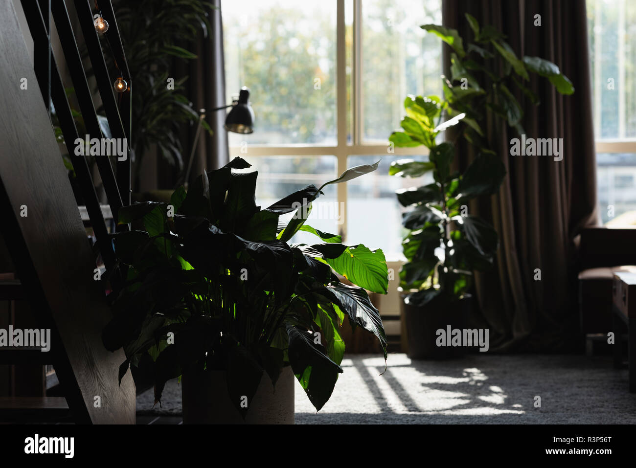Pot room hi-res stock photography and images - Alamy