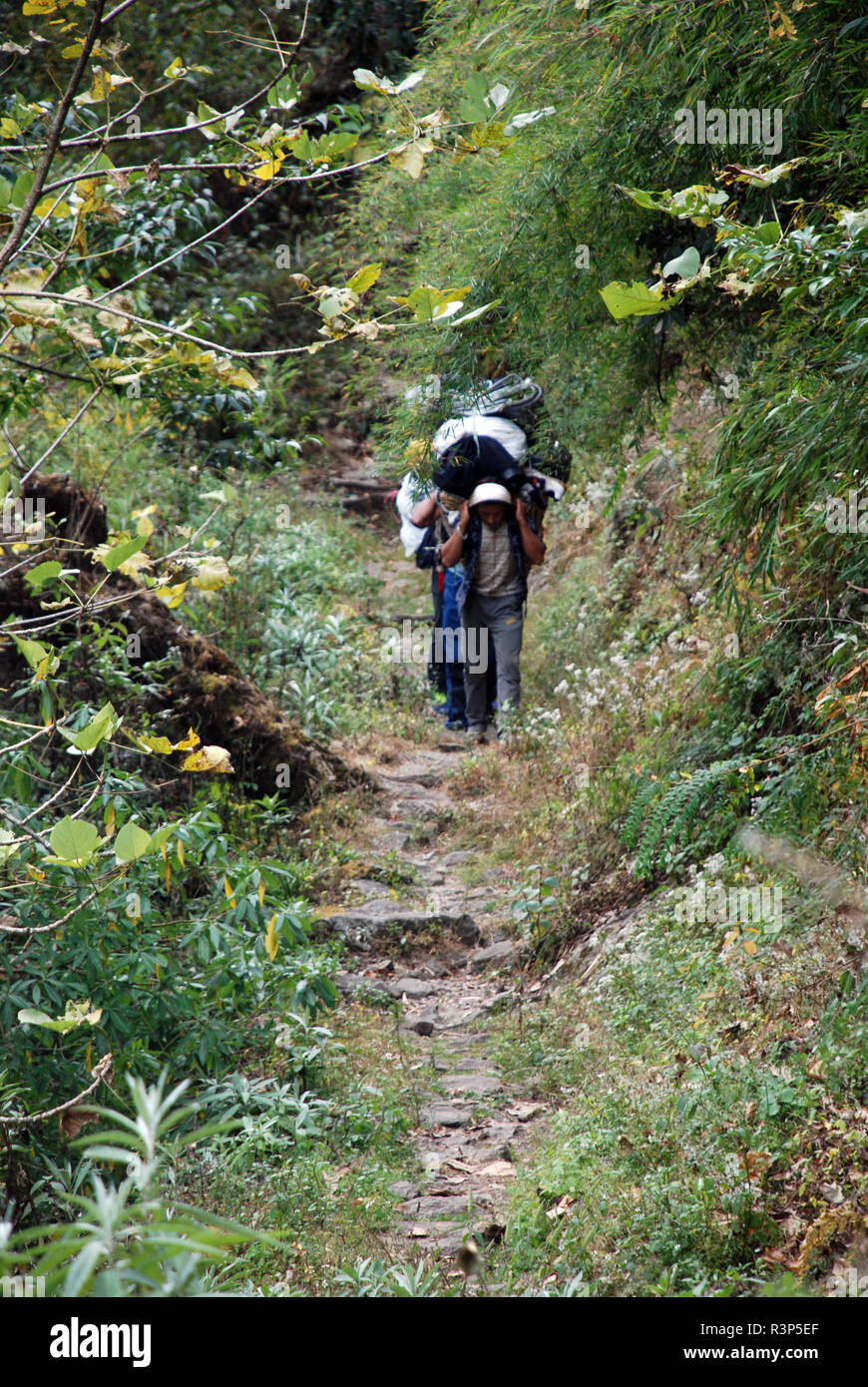 Carrying load hi-res stock photography and images - Alamy