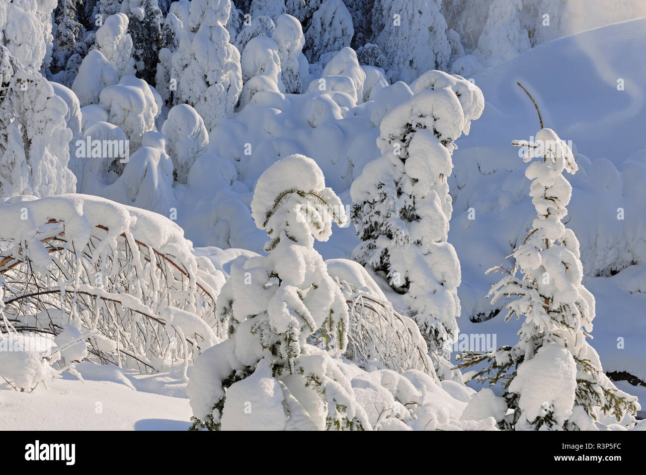 Canada manitoba landscape hi-res stock photography and images - Alamy