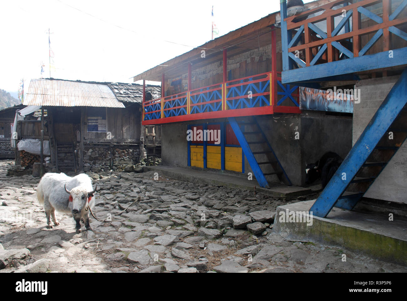 Nepali village hi-res stock photography and images - Alamy