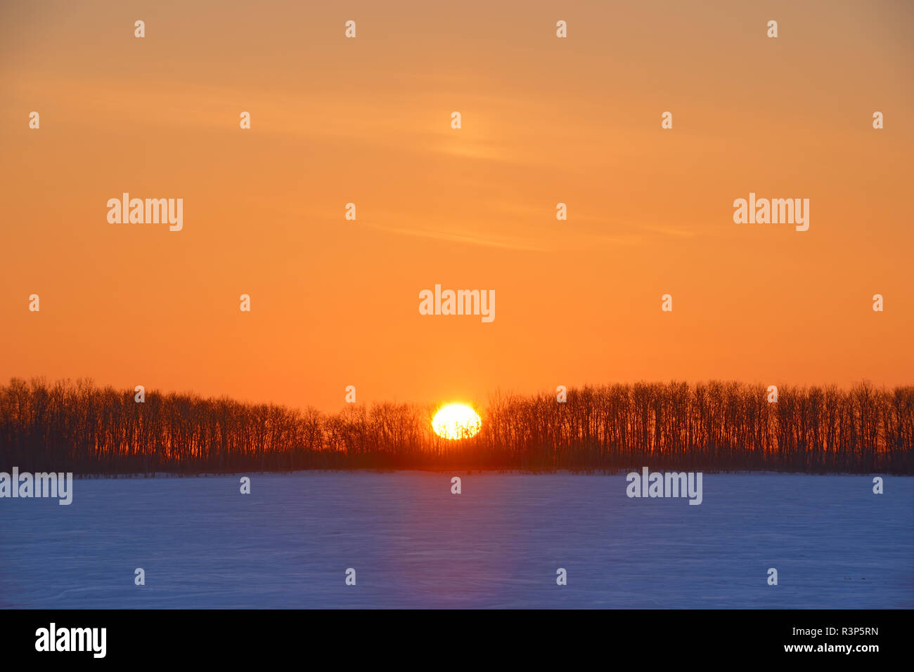 Canada, Manitoba, Grande Pointe. Sunrise over prairie with shelterbelt ...