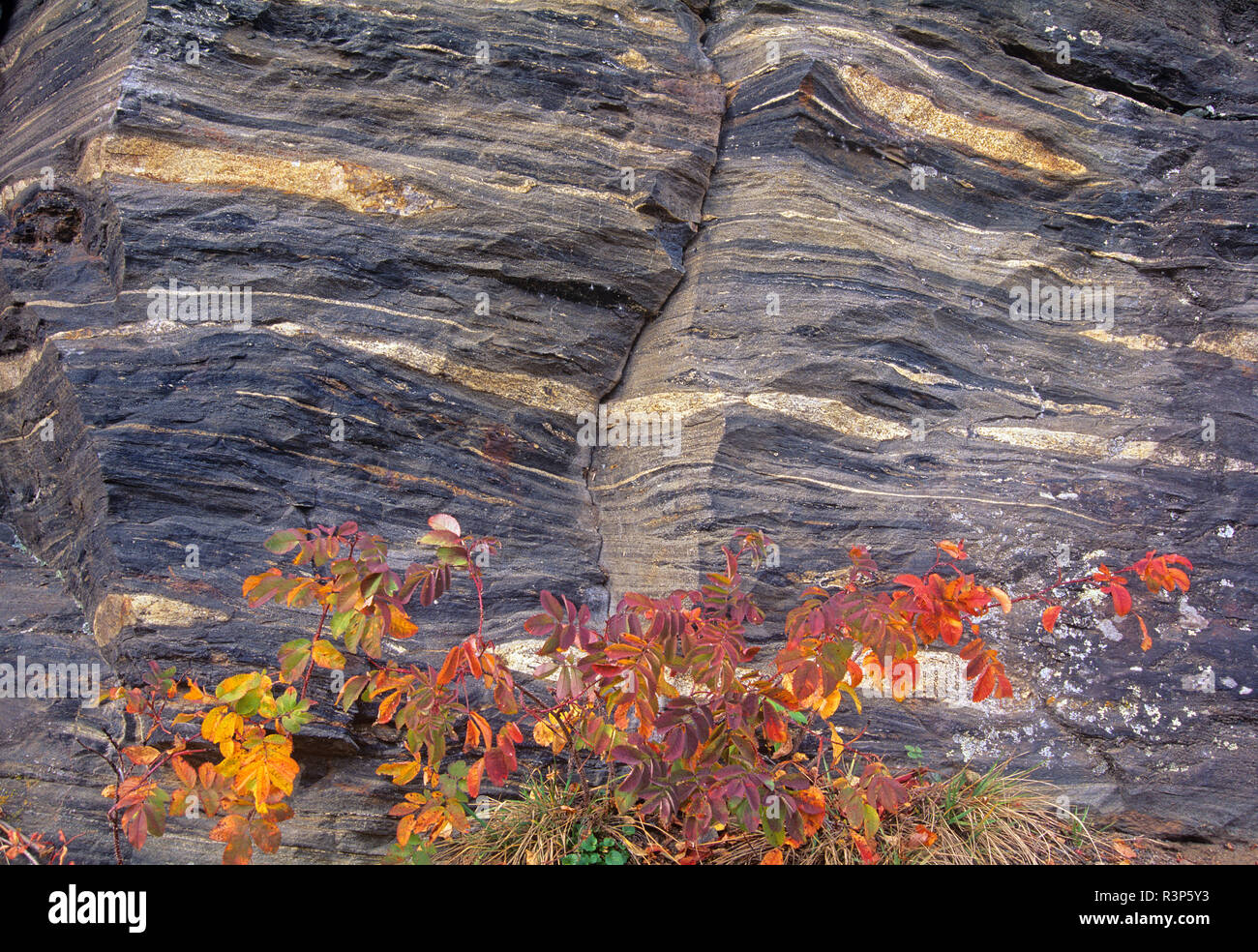 Canada whiteshell provincial park hi-res stock photography and images ...