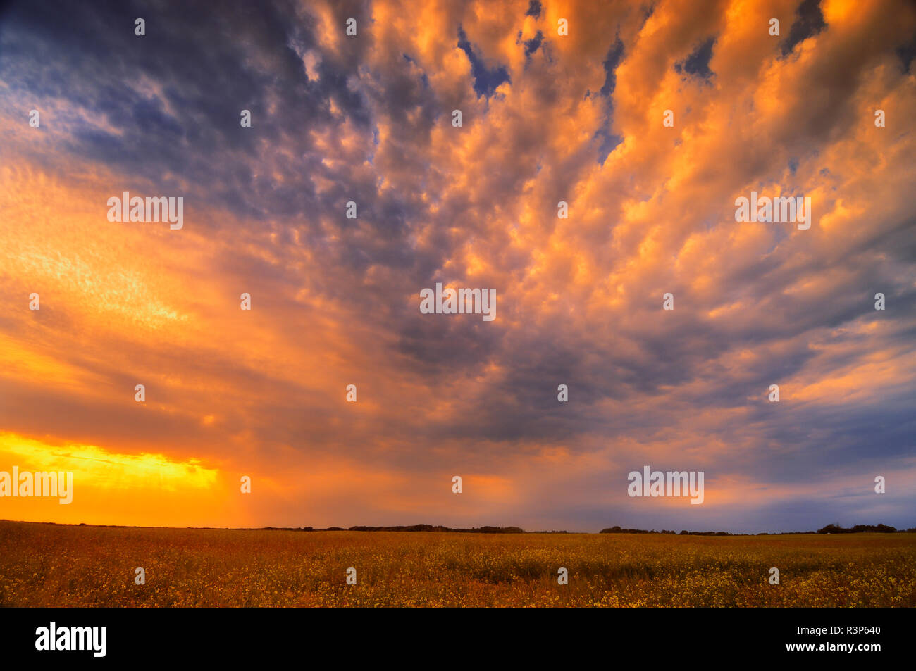 Inglis manitoba hi-res stock photography and images - Alamy