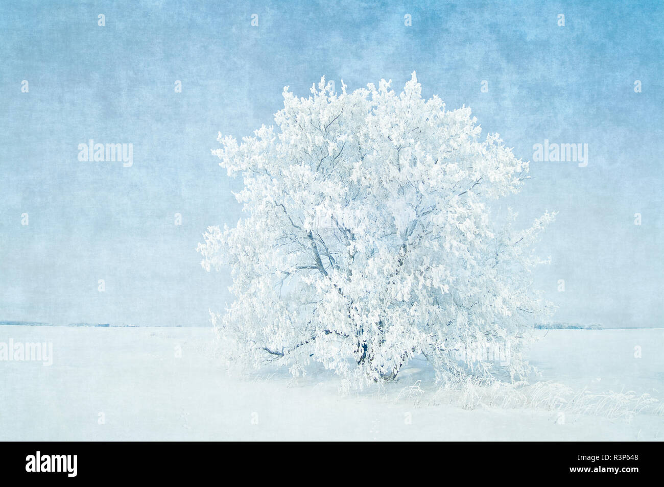 Scenic manitoba hi-res stock photography and images - Alamy