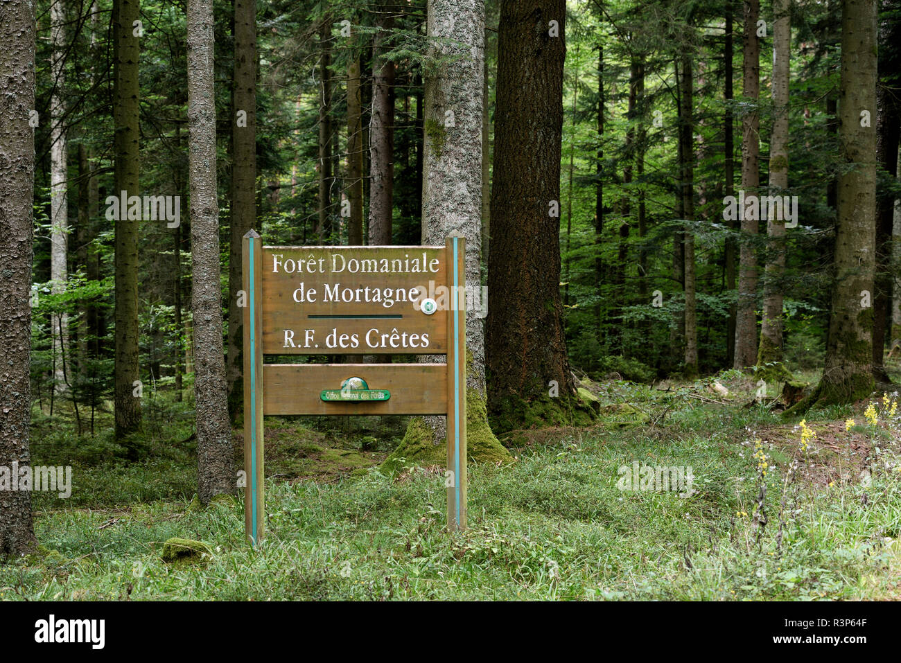 ONF sign in forest, Forêt Domaniale de Mortagne, Haut Jacques pass ...