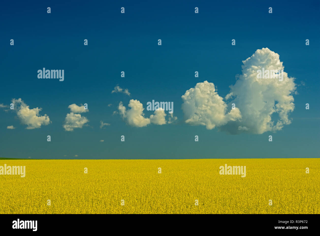 Treherne hi-res stock photography and images - Alamy