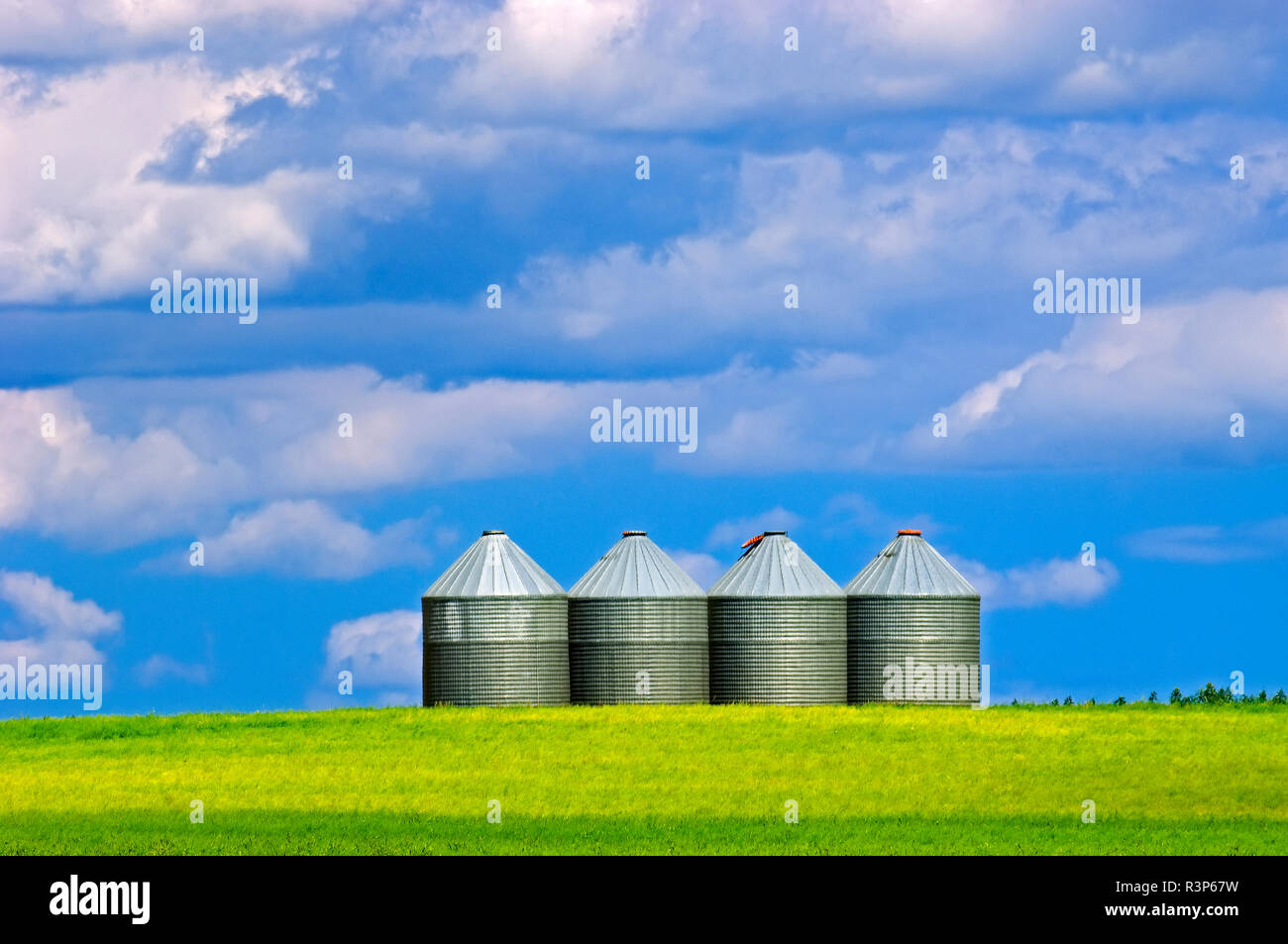 Canada, Manitoba, Altamont. Grain bins on farm Stock Photo - Alamy
