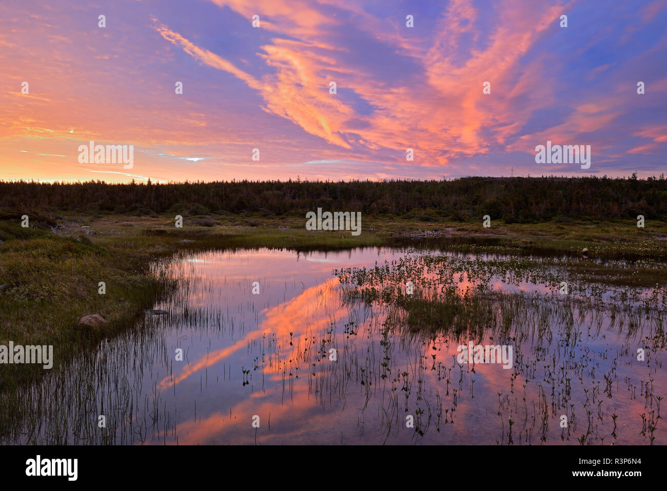 Newfoundland canada landscape hi-res stock photography and images - Alamy