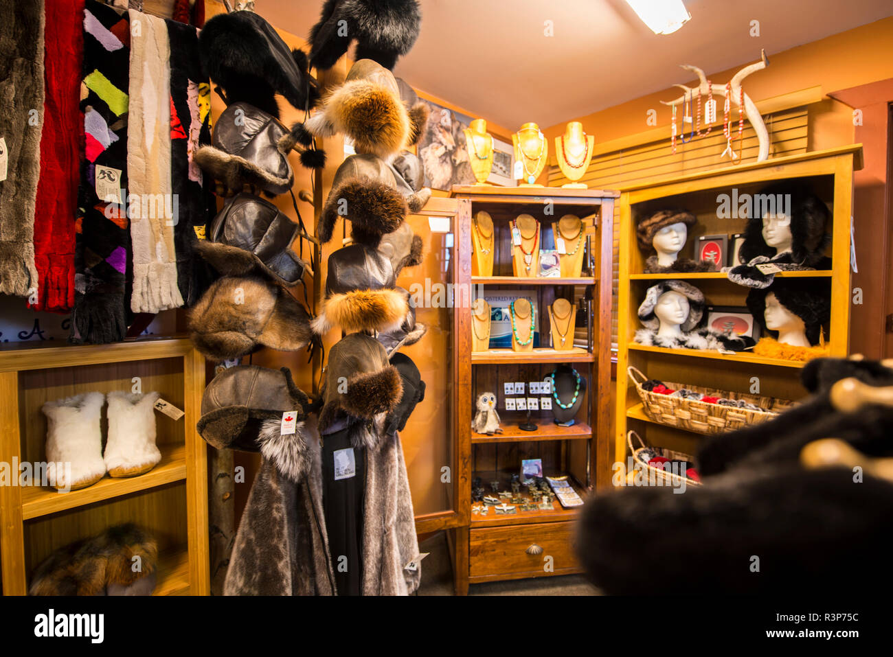 Just Furs, Yellowknife, Northwest Territories, Canada Stock Photo - Alamy