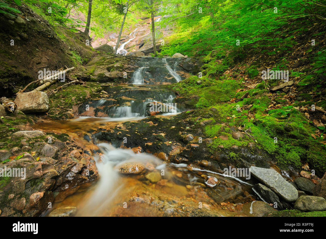 Canada, Nova Scotia, Cape Breton Highlands National Park. Beulach Ban ...