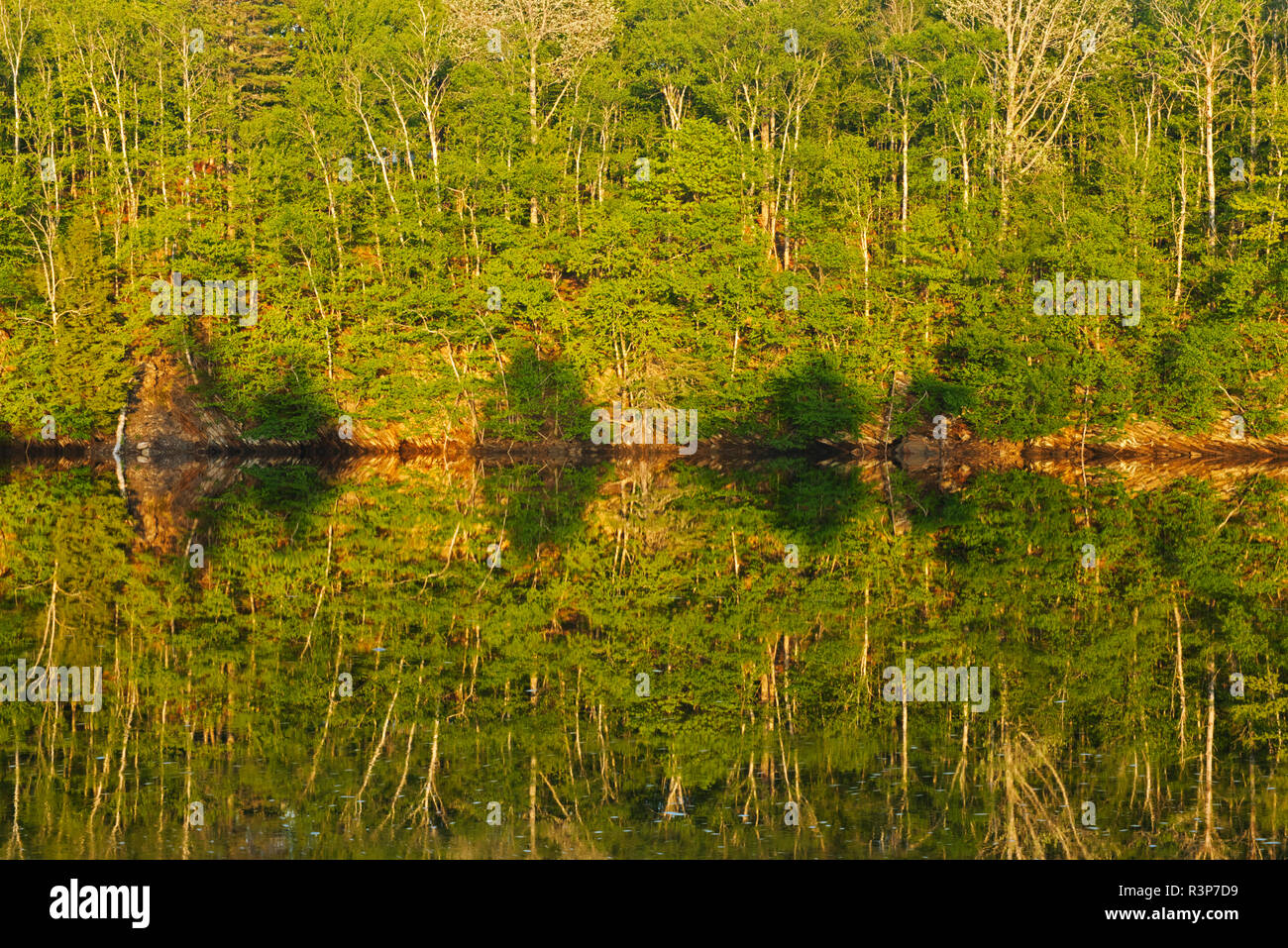 East river sheet harbour hi-res stock photography and images - Alamy