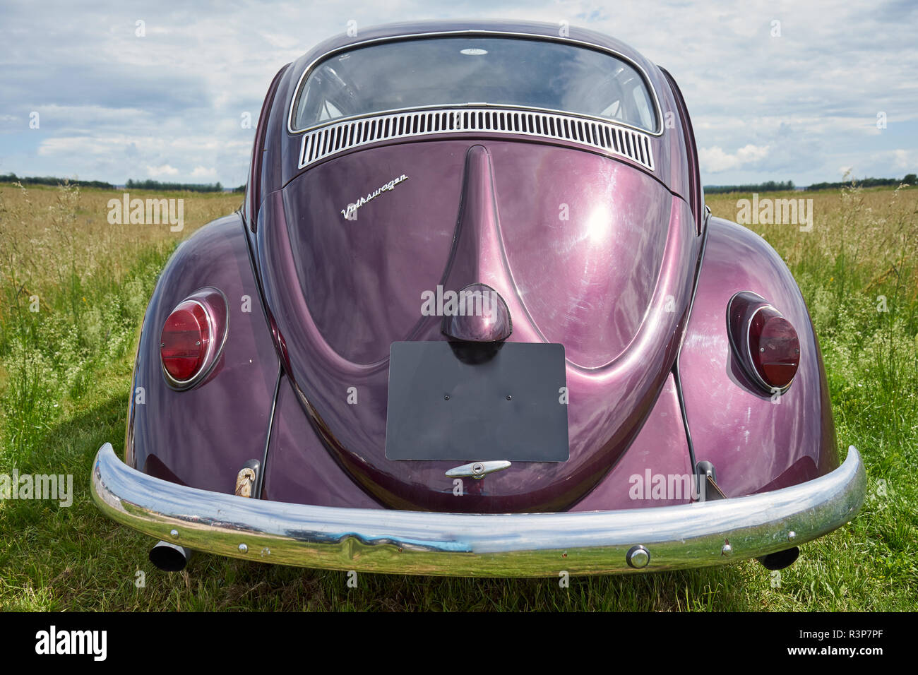 Houtaud/Franche Comté/France/June 2018 : Shiny Purple Volkswagen Beatle ...