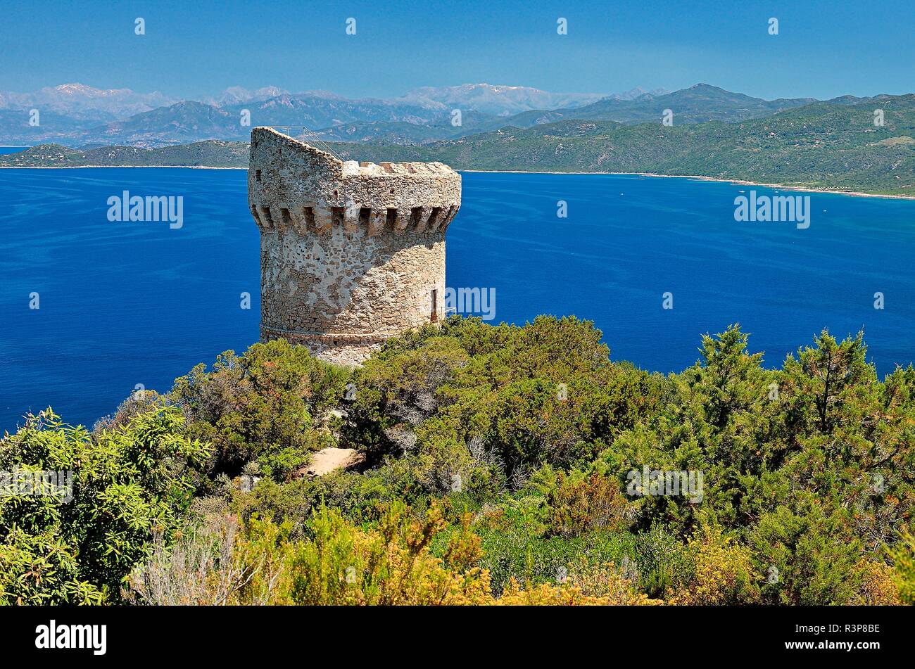 Capu hi-res stock photography and images - Alamy