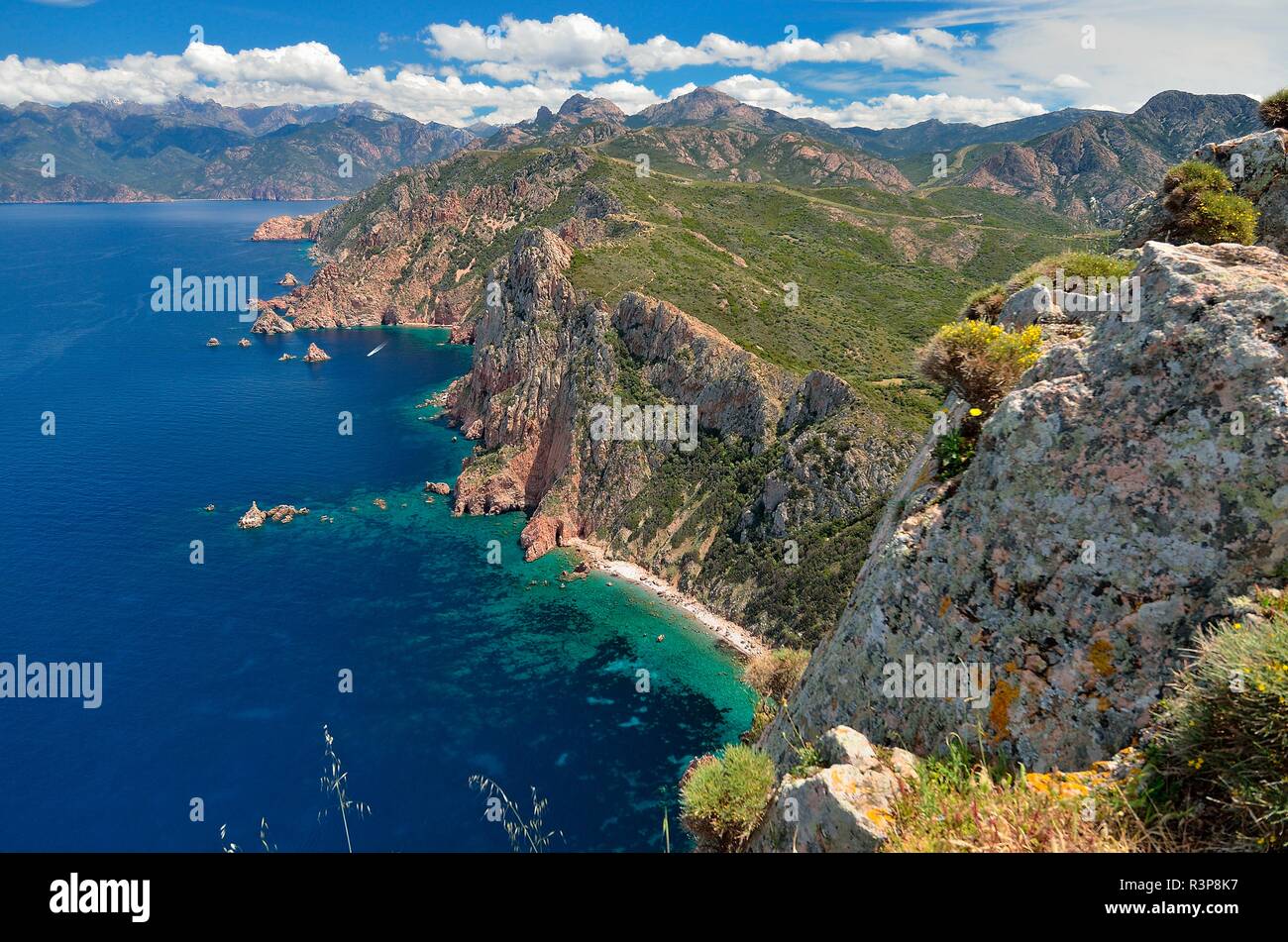 Porto parks hi-res stock photography and images - Alamy