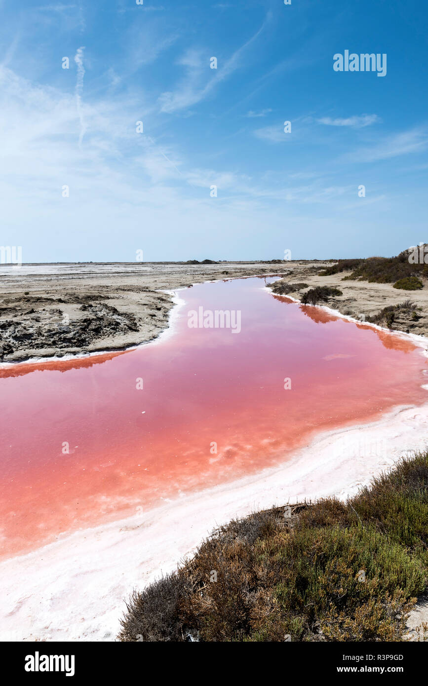 Red salt marshes at Salins-de-Giraud, Camargue, France Stock Photo - Alamy