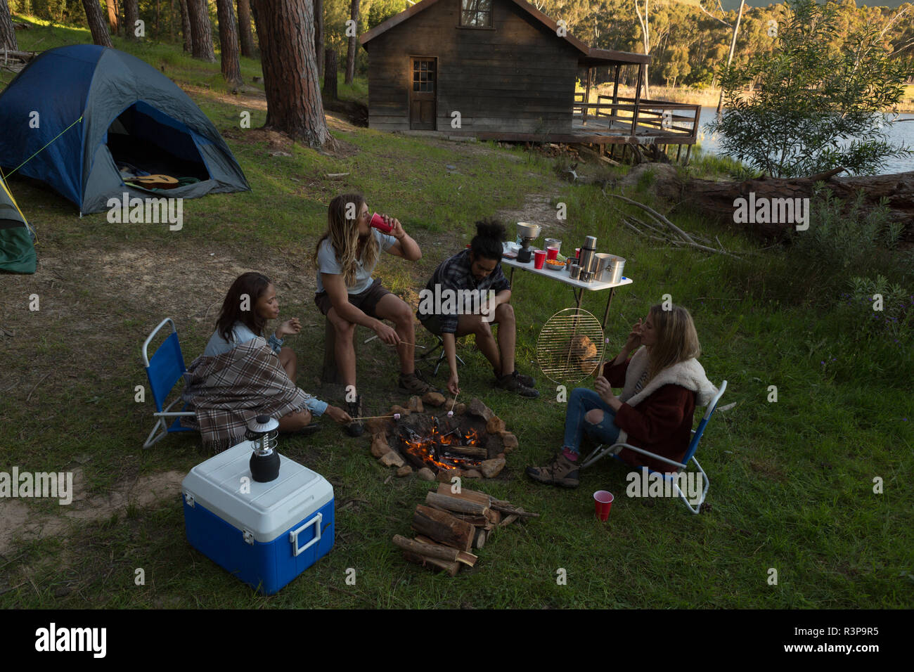 Group of friends having fun at campsite Stock Photo - Alamy