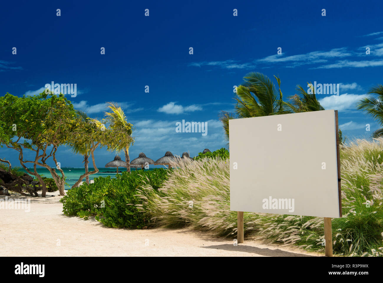 blank sign on the beach Stock Photo - Alamy