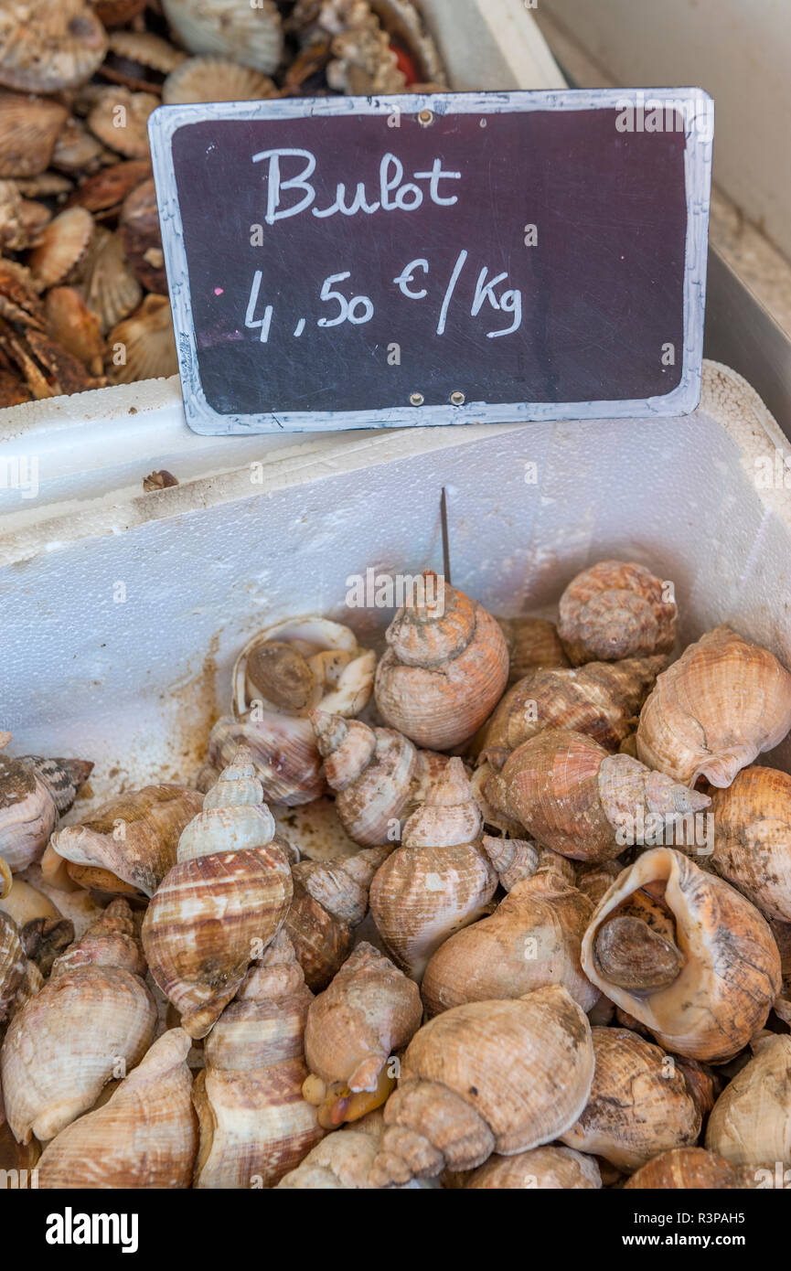 Bulot for sale, Honfleur, Normandy, France Stock Photo - Alamy