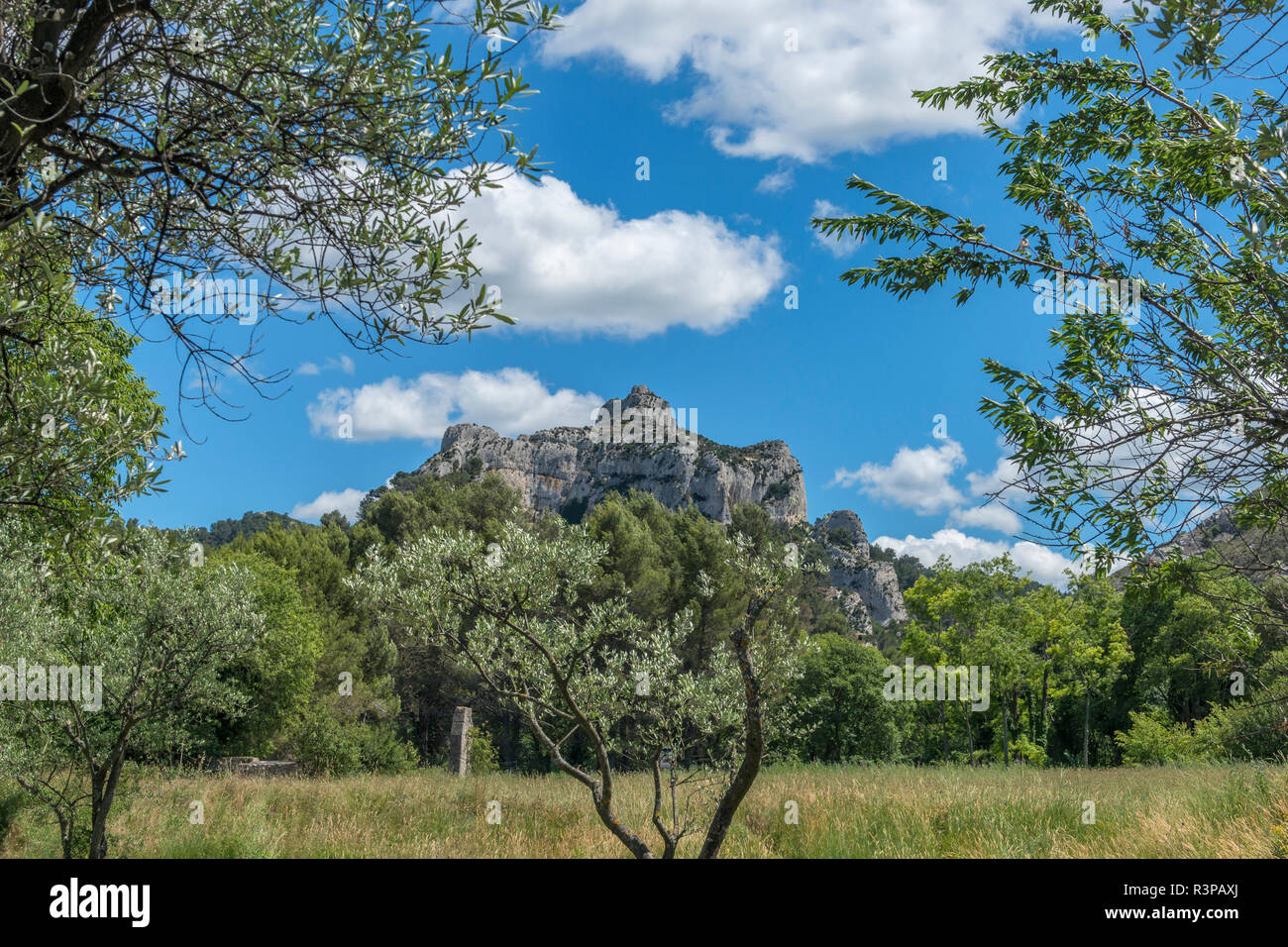 St remy van gogh hi-res stock photography and images - Alamy
