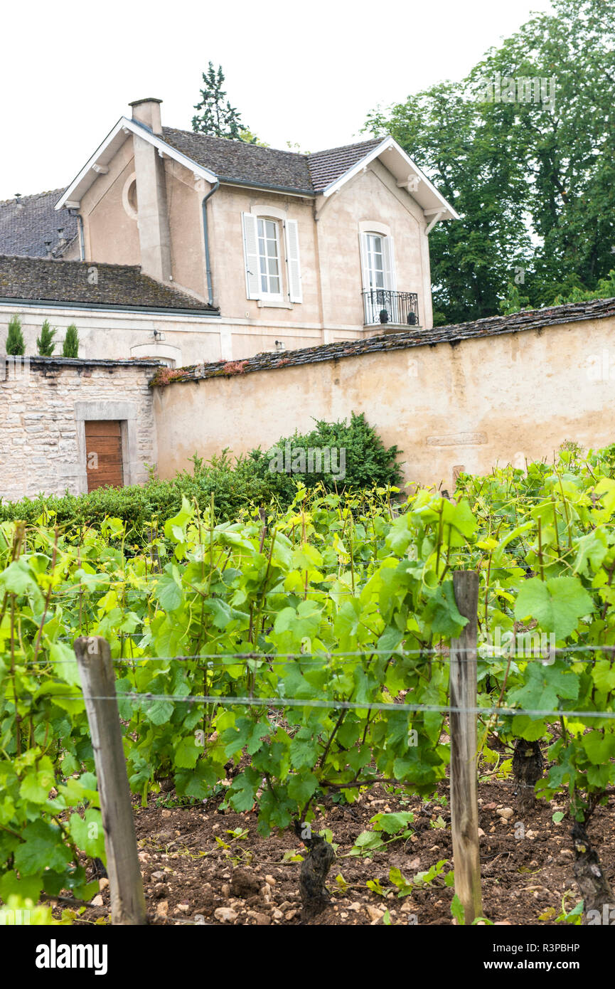 Chateau de pommard winery hi-res stock photography and images - Alamy