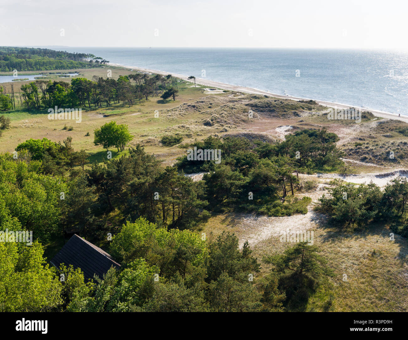 Landscape at Darsser Ort on the Darss Peninsula. Western Pomerania ...