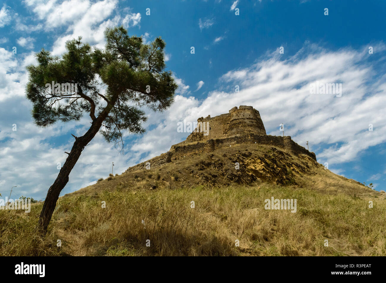 young tree and old fortress Stock Photo - Alamy
