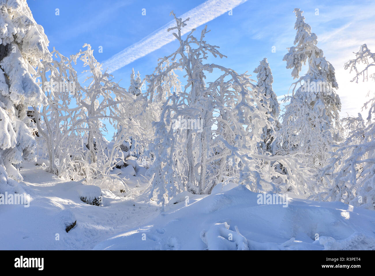 winter landscape snow Stock Photo - Alamy