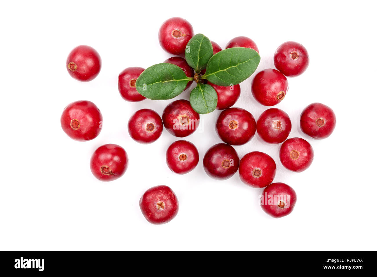 Cranberry with leaf isolated on white background closeup top view Stock ...