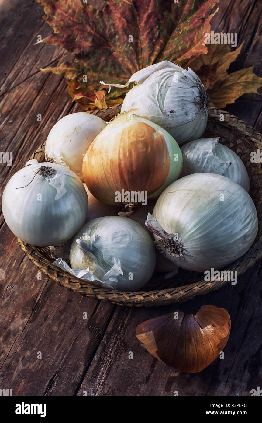 Napiform Root High Resolution Stock Photography and Images - Alamy