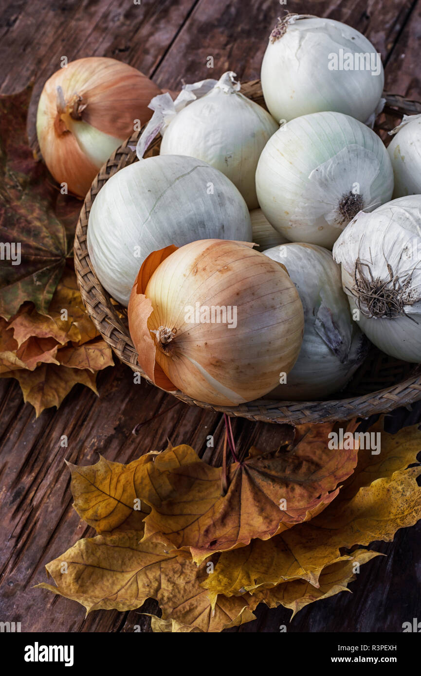 Napiform Root High Resolution Stock Photography and Images - Alamy