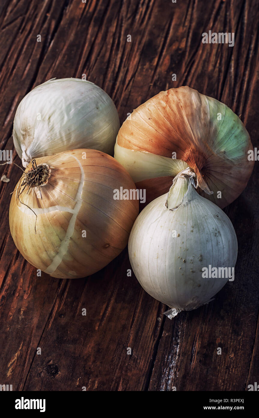 Napiform root hi-res stock photography and images - Alamy