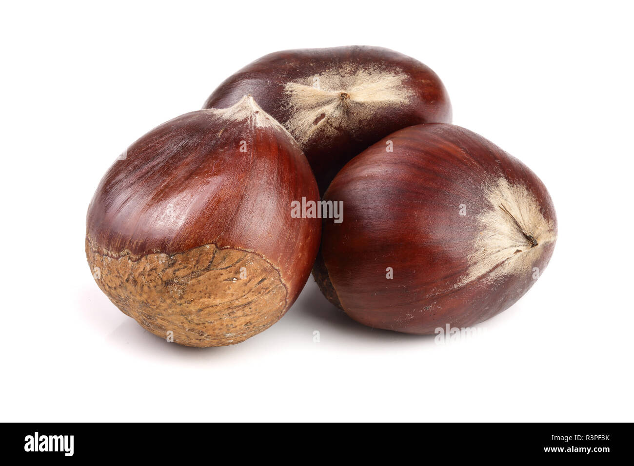 fresh edible chestnut isolated on white background Stock Photo - Alamy