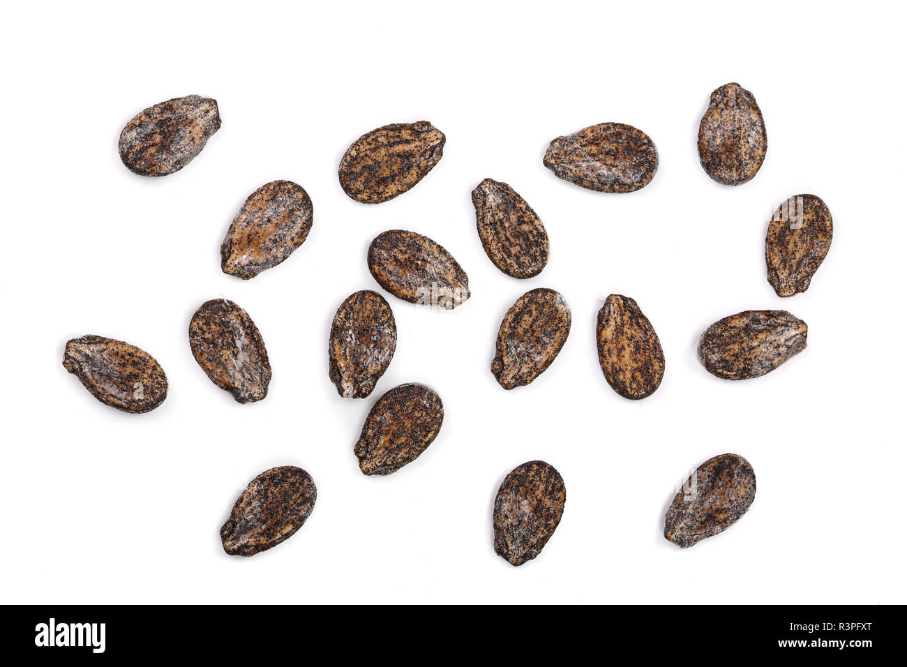 A Single Watermelon Seed