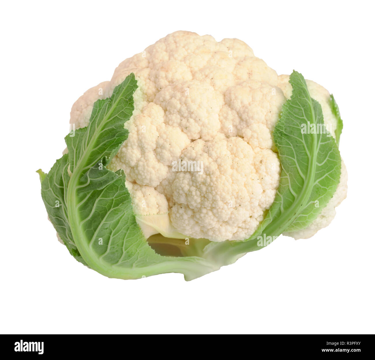 Ripe cauliflower with green leaves isolated on white background ...