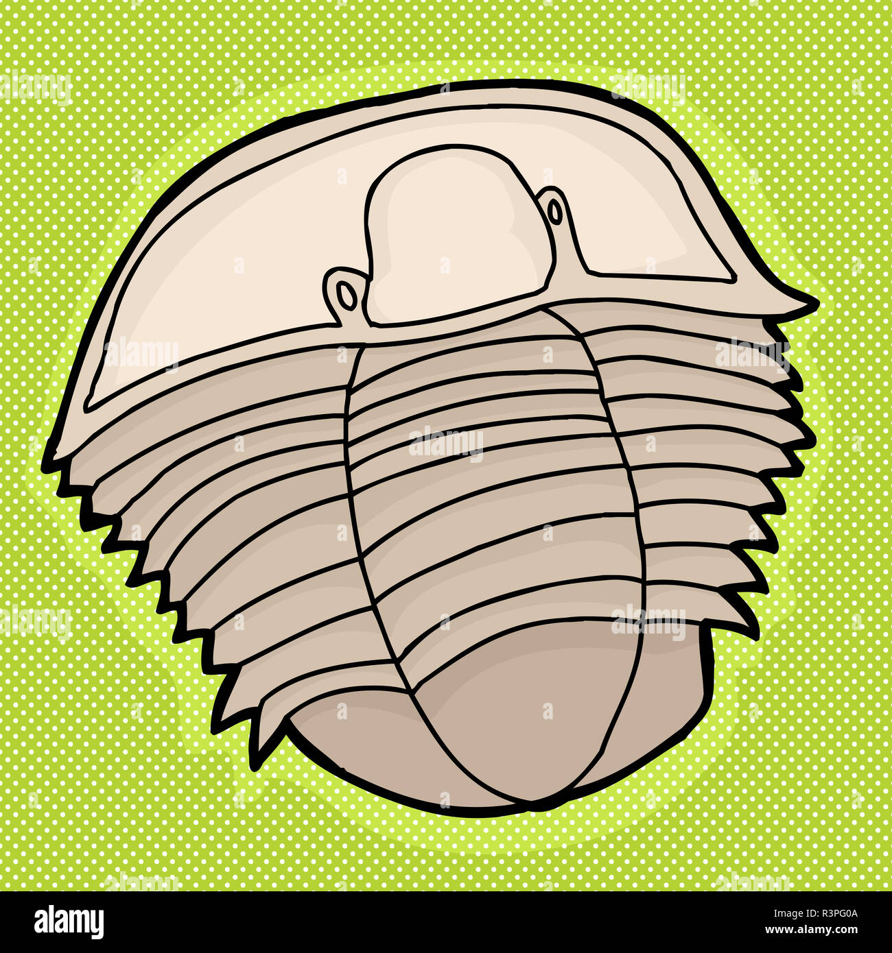 Trilobite drawing hi-res stock photography and images - Alamy