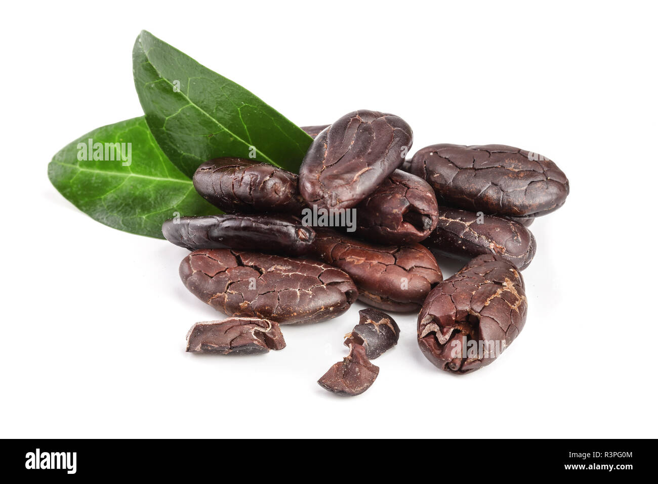 peeled cocoa bean with leaf isolated on white background Stock Photo ...